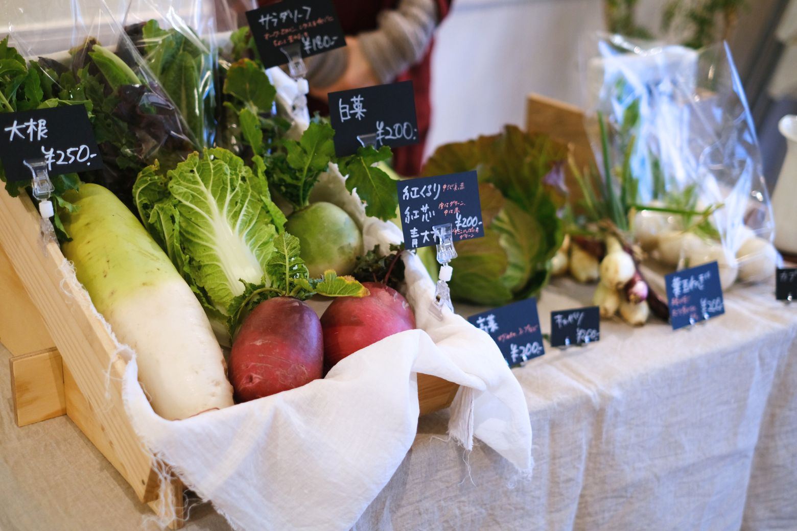 【CSA LOOP】NaZemi×COVE COFFEE ROASTERS - 4Nature