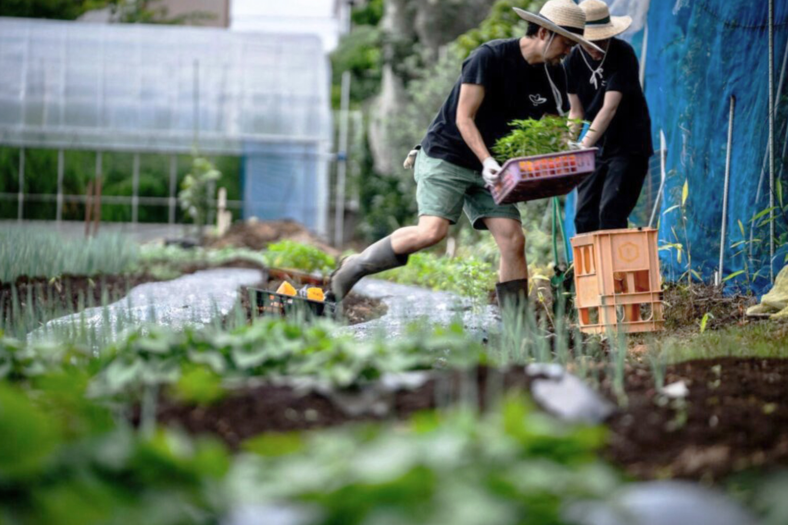 冨澤ファーム × Farm to Bakery｜人と出会い、向き合う場所。渋谷で育むつながりときっかけ - 4Nature