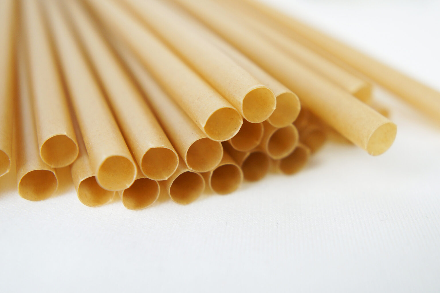 #0.プロローグ - 4Nature