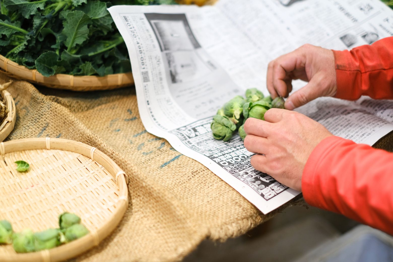 【CSA LOOP】マーフィーズファーム×コーヒースタンド烏 - 4Nature