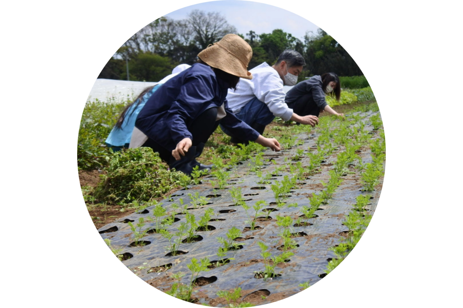 English Guide to CSA LOOP - 4Nature